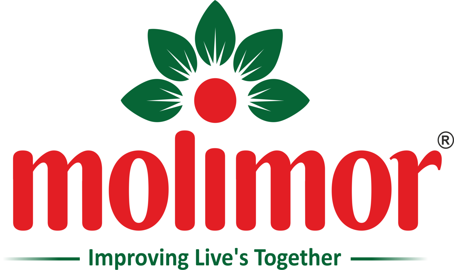 Certification – Molimor